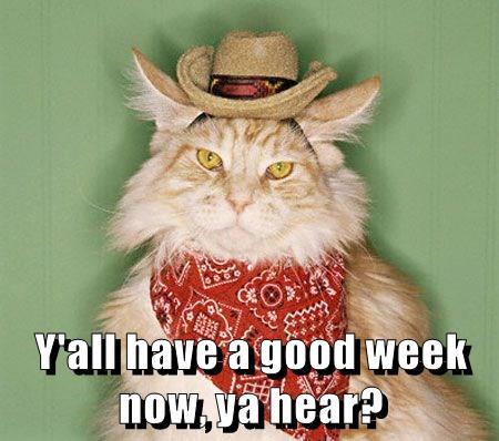 Y'all have a good week now, ya hear? - Lolcats - lol | cat memes ...