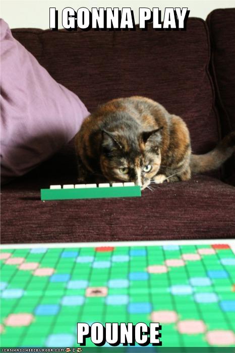 I GONNA PLAY POUNCE - Lolcats - lol | cat memes | funny cats | funny ...