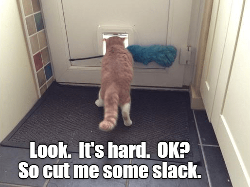 Cut me some slack! - Lolcats - lol | cat memes | funny cats | funny cat ...