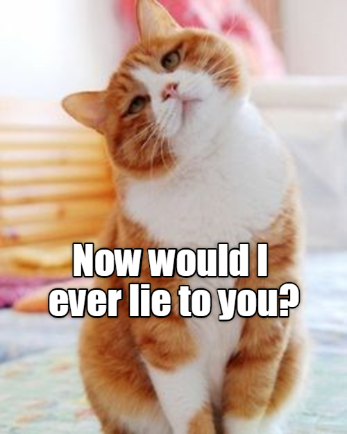 Would i? - Lolcats - lol | cat memes | funny cats | funny cat pictures ...