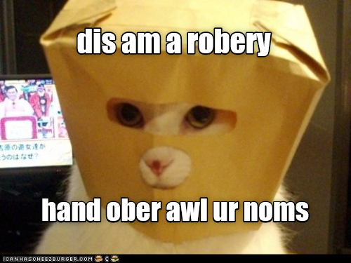 Dis am a robery - Lolcats - lol | cat memes | funny cats | funny cat ...