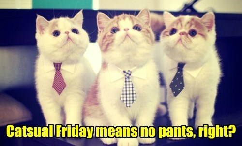 The office will never be the same - Lolcats - lol | cat memes | funny ...