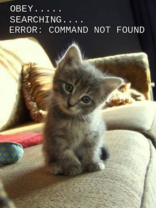 Not Compatible With Your Kitty - Lolcats - lol | cat memes | funny cats ...