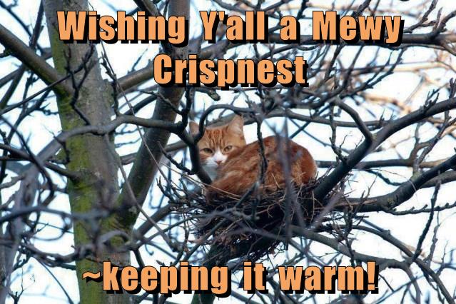 Keeping it warm! - Lolcats - lol | cat memes | funny cats | funny cat ...