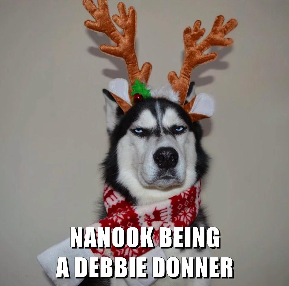 NANOOK BEING A DEBBIE DONNER - I Has A Hotdog - Dog Pictures - Funny ...