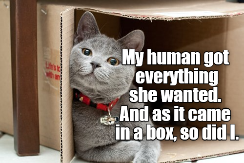 Now we're both happy! - Lolcats - lol | cat memes | funny cats | funny ...