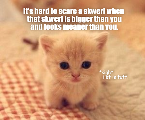 lief is tuff - Lolcats - lol | cat memes | funny cats | funny cat ...