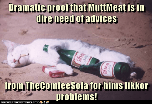 Dramatic proof - Lolcats - lol | cat memes | funny cats | funny cat ...