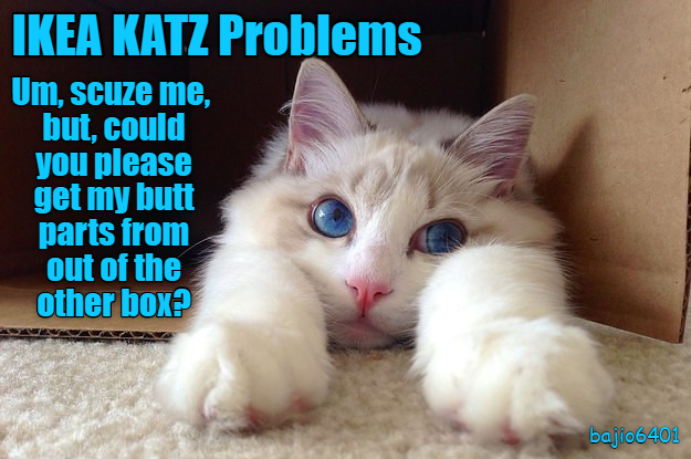 The Tragedy of Bad Product Packing - Lolcats - lol | cat memes | funny ...