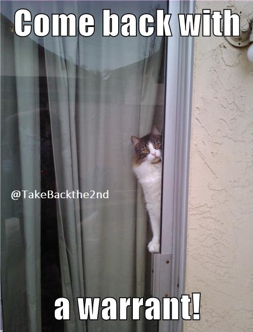 Come back with a warrant! - Lolcats - lol | cat memes | funny cats ...