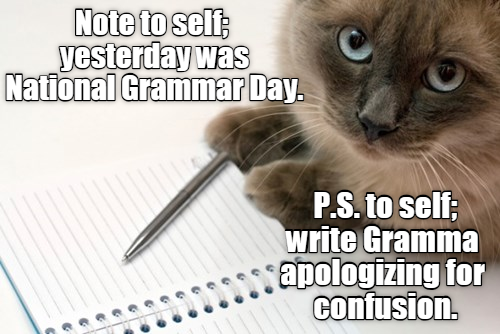 ...and look up definition of irony. - Lolcats - lol | cat memes | funny ...