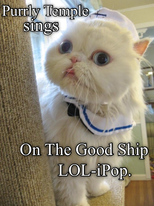 America’s Sweetheart - Lolcats - lol | cat memes | funny cats | funny ...