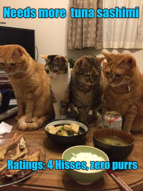 Cat Critics is not impressed with your offerings - Lolcats - lol | cat ...