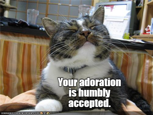 So humble - Lolcats - lol | cat memes | funny cats | funny cat pictures ...