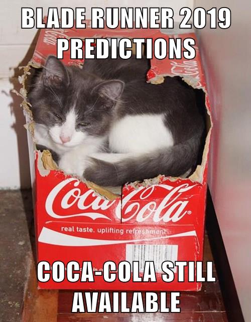 BLADE RUNNER 2019 PREDICTIONS - Lolcats - lol | cat memes | funny cats ...