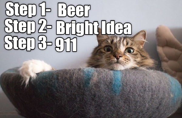 Don't Thrink While Dinking! - Lolcats - lol | cat memes | funny cats ...