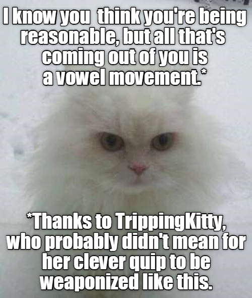 How To Shut Down A Fool - Lolcats - lol | cat memes | funny cats ...