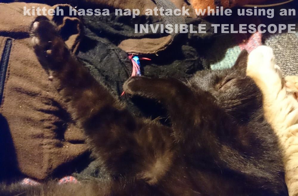 INVISIBLE TELESCOPE - Lolcats - lol | cat memes | funny cats | funny ...