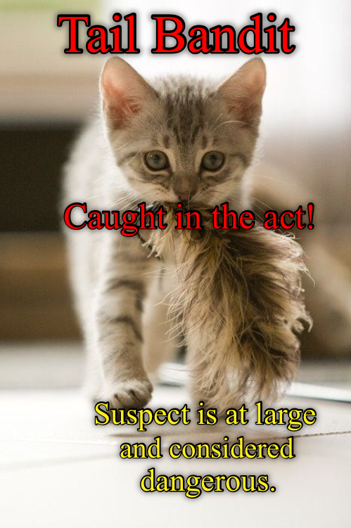 Cold case reopened as unearthed photo reveals the identity of the ...