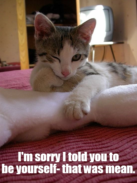 When an apology just rubs in the insult. - Lolcats - lol | cat memes ...