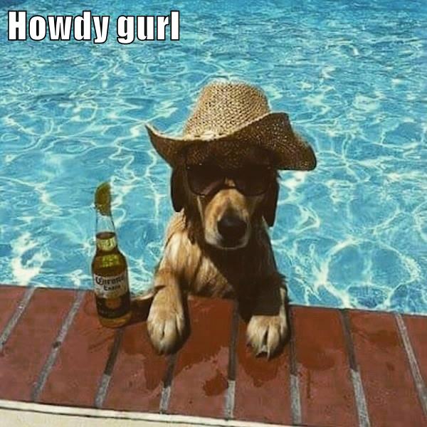 Howdy gurl - I Has A Hotdog - Dog Pictures - Funny pictures of dogs ...