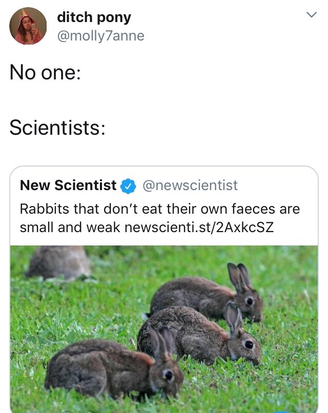 Thanks, Scientists! - Memebase - Funny Memes