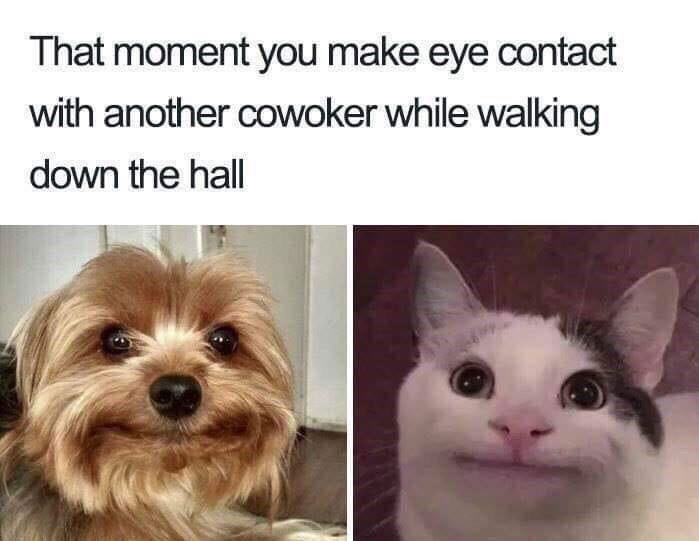 Memebase - eye contact - All Your Memes In Our Base - Funny Memes ...