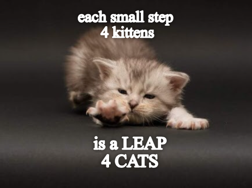 Each Small Step 4 Kittens - Lolcats - lol | cat memes | funny cats ...