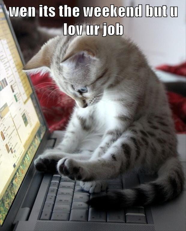 Weekend - Lolcats - lol | cat memes | funny cats | funny cat pictures ...