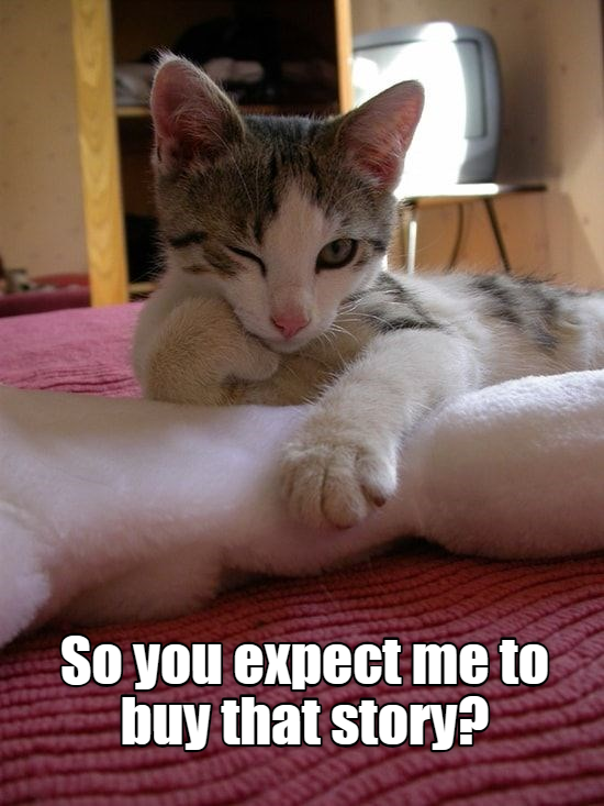 Really? - Lolcats - lol | cat memes | funny cats | funny cat pictures ...