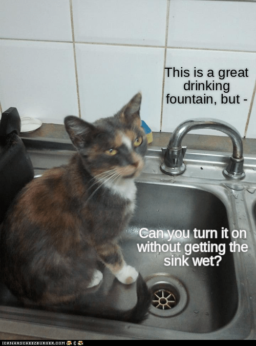 Water, kitteh's way - Lolcats - lol | cat memes | funny cats | funny ...