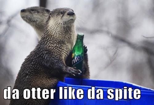 Da otter like da spite - Animal Comedy - Animal Comedy, funny animals ...