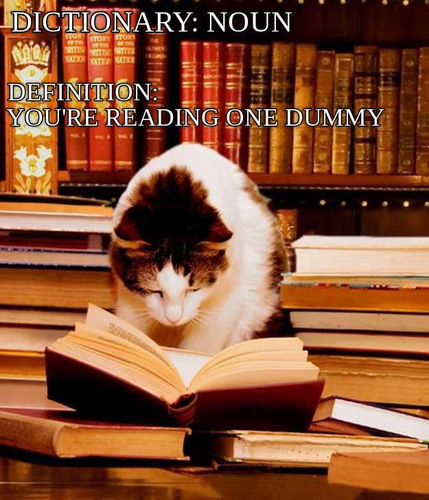 The Smart Aleck's Dictionary - Lolcats - lol | cat memes | funny cats ...