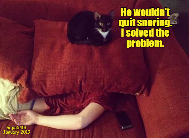 IT'S QUIET NOW - Lolcats - lol | cat memes | funny cats | funny cat ...