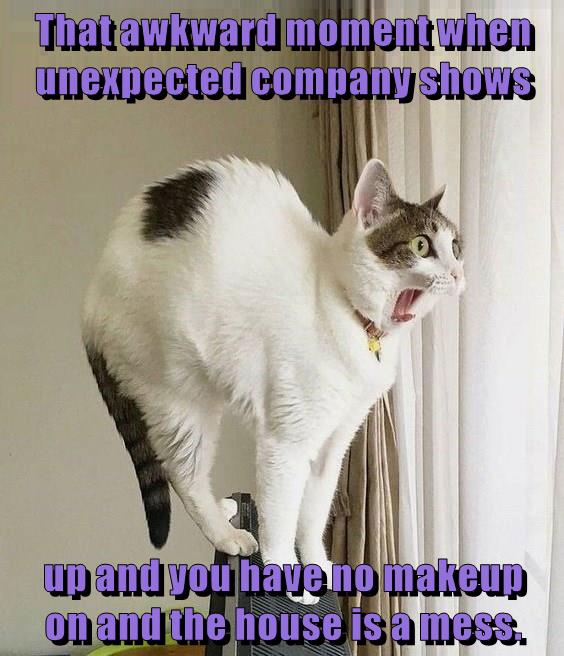 That awkward moment - Lolcats - lol | cat memes | funny cats | funny ...