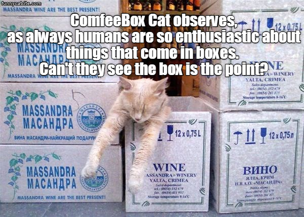 Deep Cat is deep - Lolcats - lol | cat memes | funny cats | funny cat ...