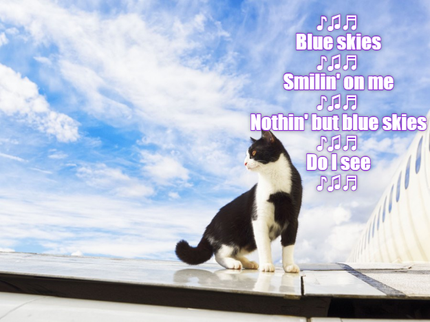 Lolcats - lol | cat memes | funny cats | funny cat pictures with words ...