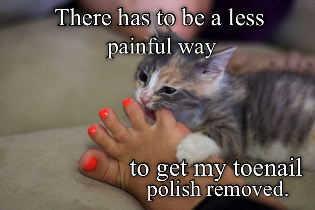 Ouch! - Lolcats - lol | cat memes | funny cats | funny cat pictures ...