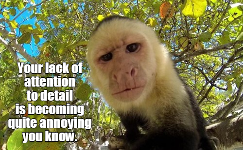 You know?! - Animal Comedy - Animal Comedy, funny animals, animal gifs