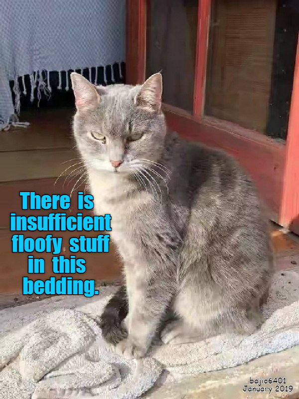 IT AIN'T GONNA WORK - Lolcats - lol | cat memes | funny cats | funny ...