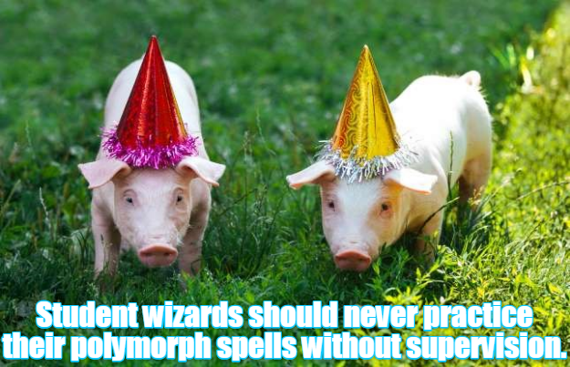 Rule #1 - Animal Comedy - Animal Comedy, funny animals, animal gifs