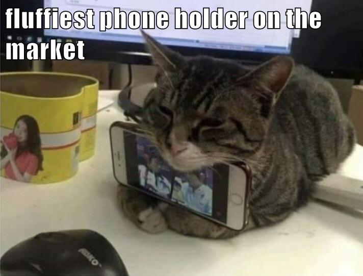 Fluffiest phone holder on the market - Lolcats - lol | cat memes ...