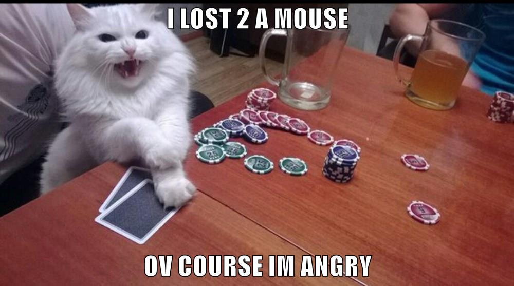 OV COURSE IM ANGRY - Lolcats - lol | cat memes | funny cats | funny cat ...