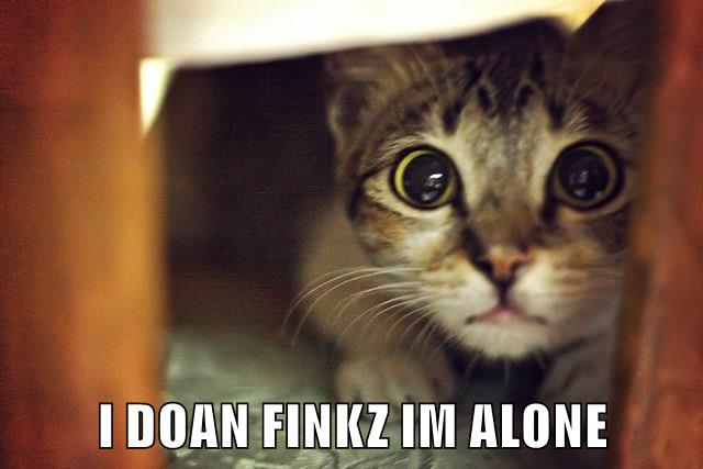 I DOAN FINKZ IM ALONE - Lolcats - lol | cat memes | funny cats | funny ...