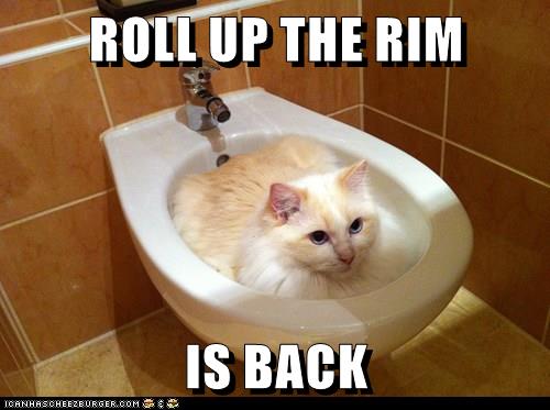ROLL UP THE RIM IS BACK - Lolcats - lol | cat memes | funny cats ...