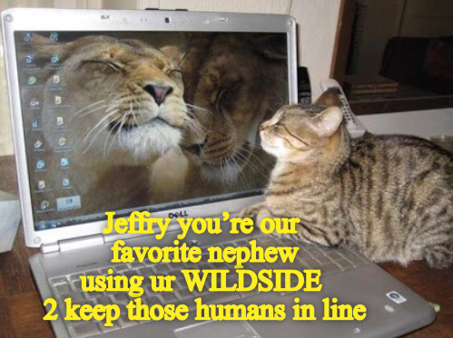 High Tech Family Chat With Aunt Alice & Uncle Leo - Lolcats - lol | cat ...
