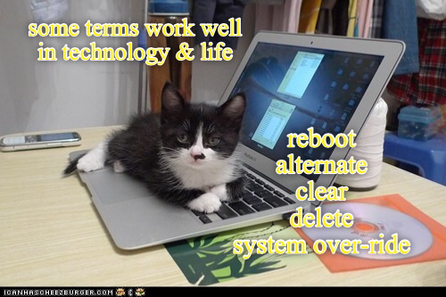 Terms That Work Well In Technology & Life - Lolcats - lol | cat memes ...