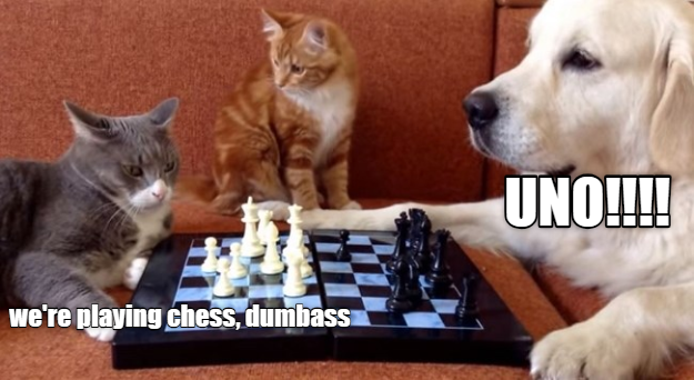 board games with doggo - I Has A Hotdog - Dog Pictures - Funny pictures ...