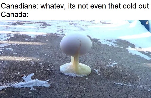 Just A Little Wind Chill, That's All - Memebase - Funny Memes