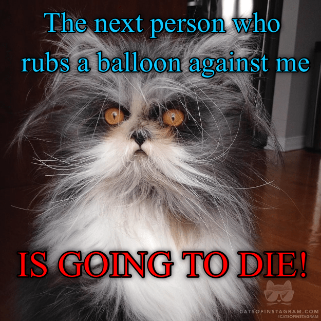 I hate lightning storms. - Lolcats - lol | cat memes | funny cats ...